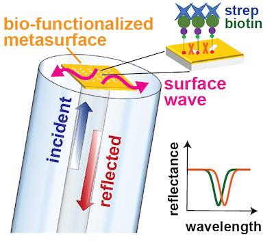 Metasurface-enhanced lab-on-fiber biosensors | Fields & Waves Lab
